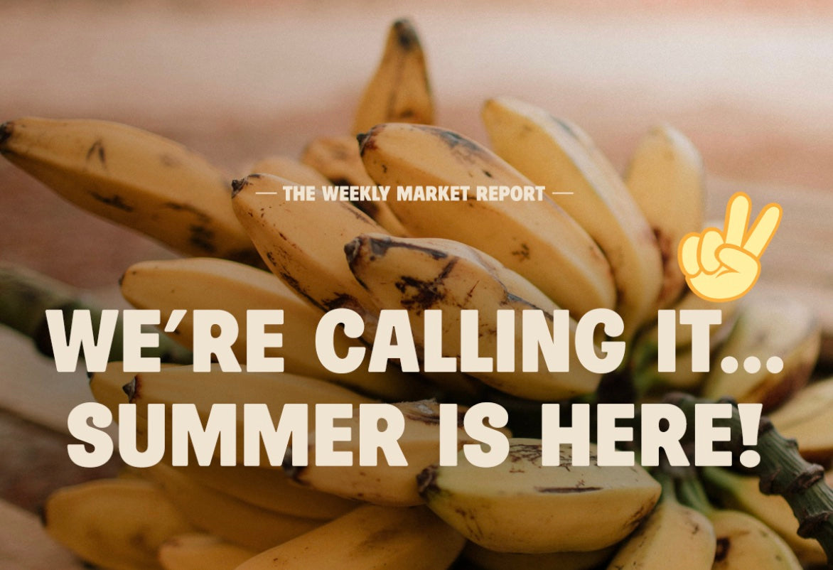 Wild Grocer Market Update 21st October 2024 – DimplesAU