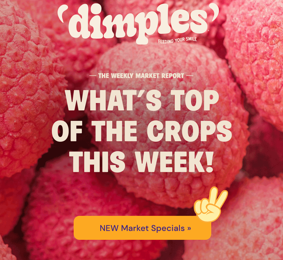Wild Grocer Market Update 4th November – DimplesAU