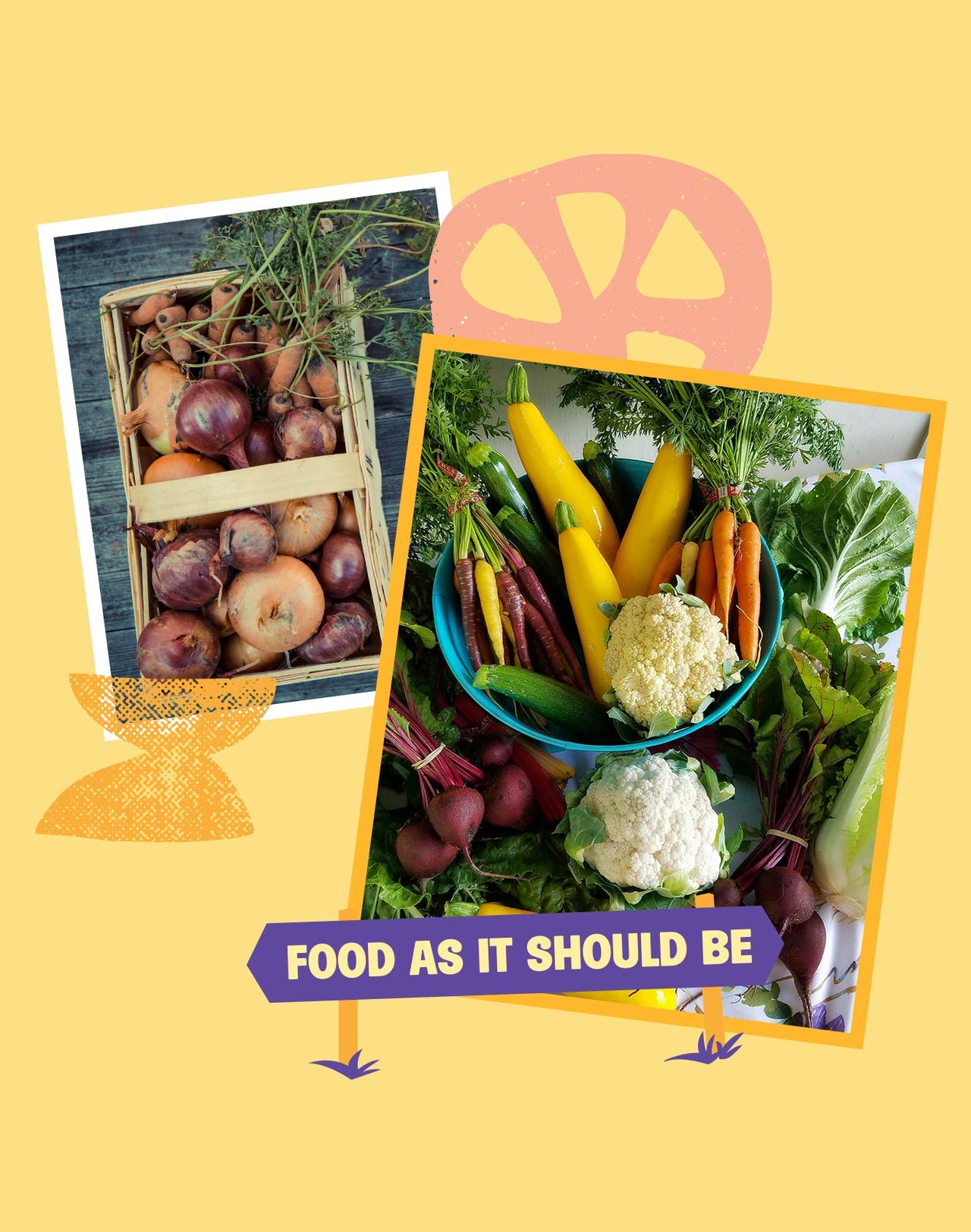 Check Delivery 2026 – DimplesAU