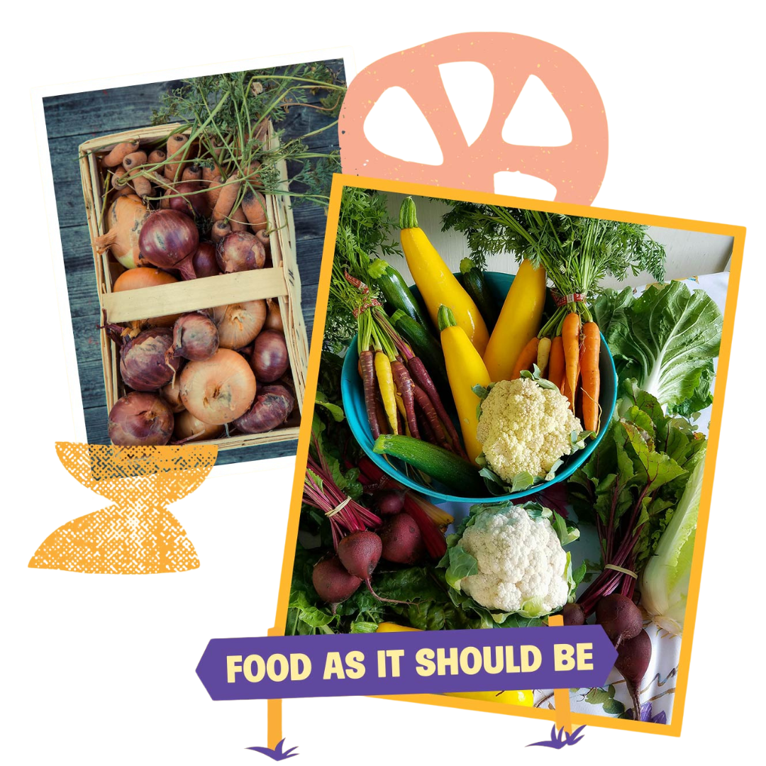 Seaforth Special – DimplesAU