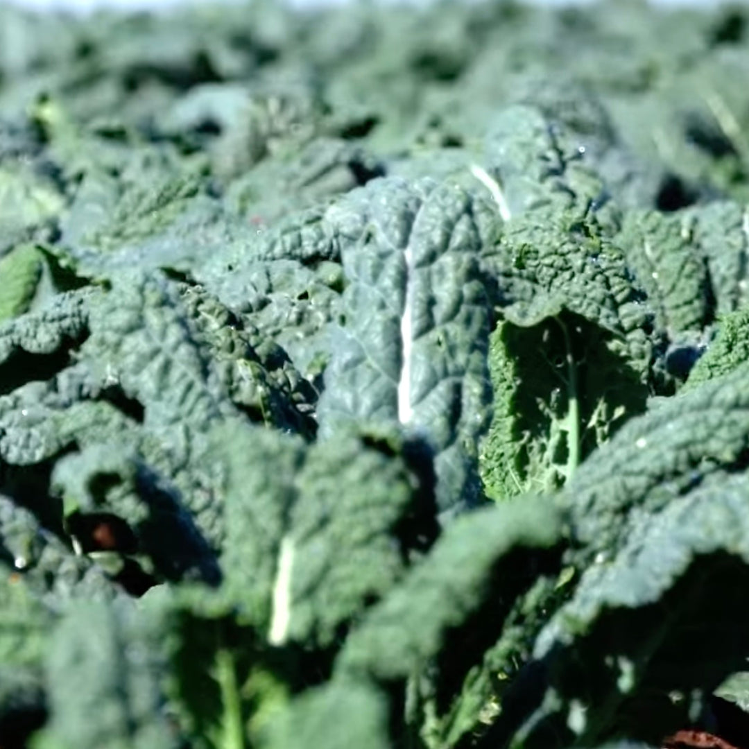 Dimples - Farm Fresh Fruit & Veg, Meat, Seafood & Groceries Delivered – DimplesAU