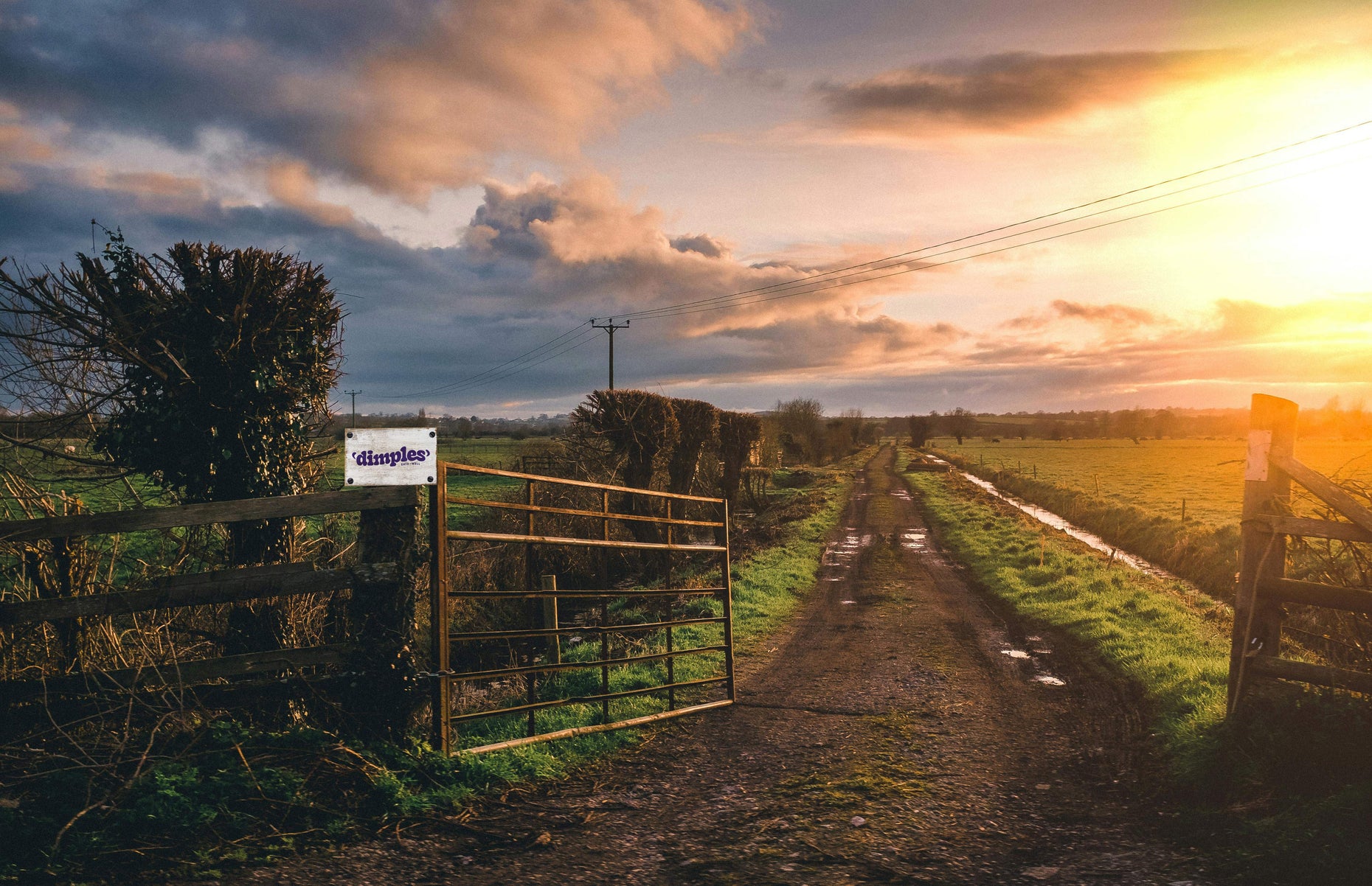 Sydneys-freshest-produce-delivered – DimplesAU